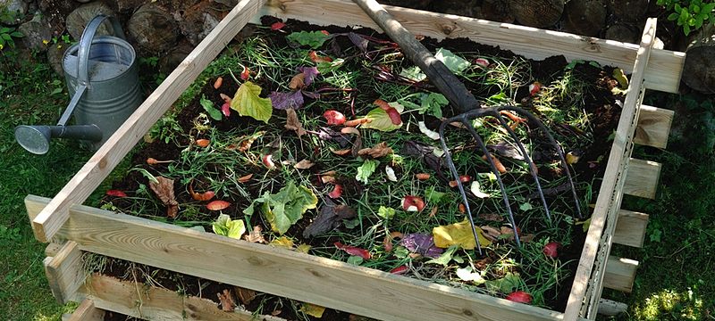Composting: Interesting Facts and Instructions - TopLst
